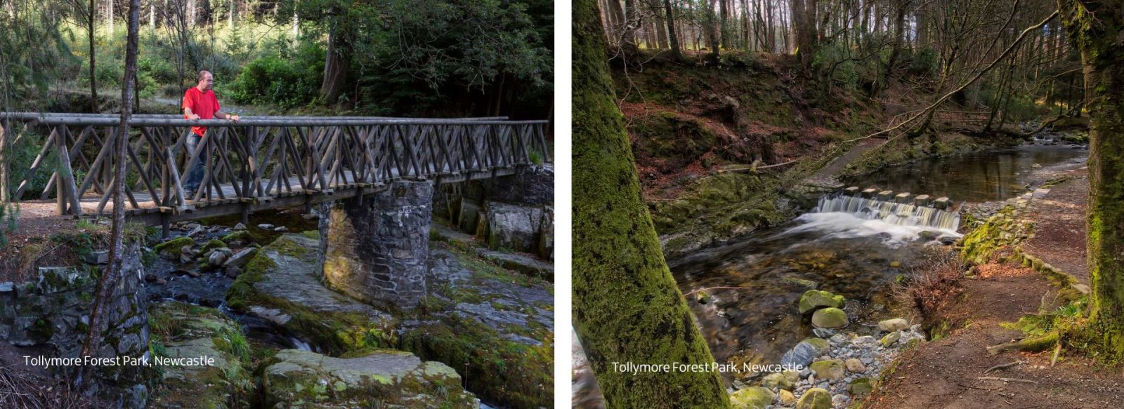 Top 5 Forest Walks to Explore in Mourne Gullion Strangford - Visit ...